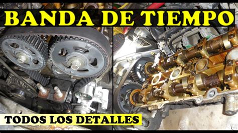 Cambio Completo De Banda De Tiempo Bomba De Agua Tensor Poleas Y