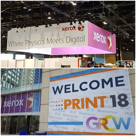 Casey Lucas Caseycrl Twitter