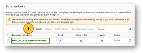 Sap Datasphere Security And Data Access Controls Ove Sap Community
