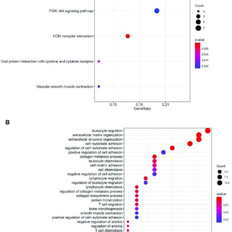 A Enrichment Of The Molecular Function B Enrichment Of The Download Scientific Diagram