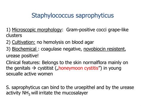 Staphylococcus Pdf