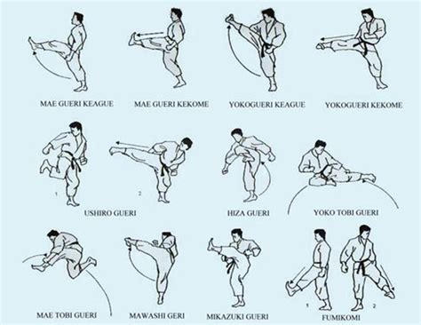 Nomes Dos Golpes De Karate Shotokan Retoedu
