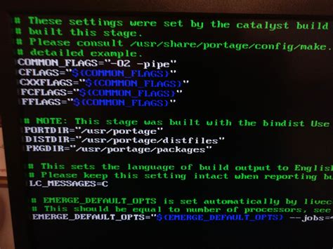 Multiple Cflags Rgentoo