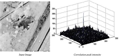 experimental result from the compact correlator on real world images