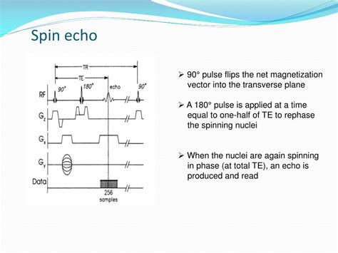 Ppt Fast Spin Echo Powerpoint Presentation Free Download Id 4091180