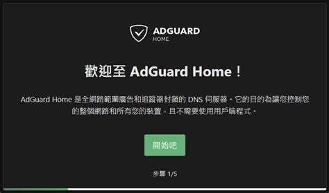 在 Windows 上安裝 AdGuard Home 並用於路由器 超簡單教學 和泉小角落