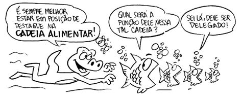 Biolugando Cadeia E Teia Alimentar