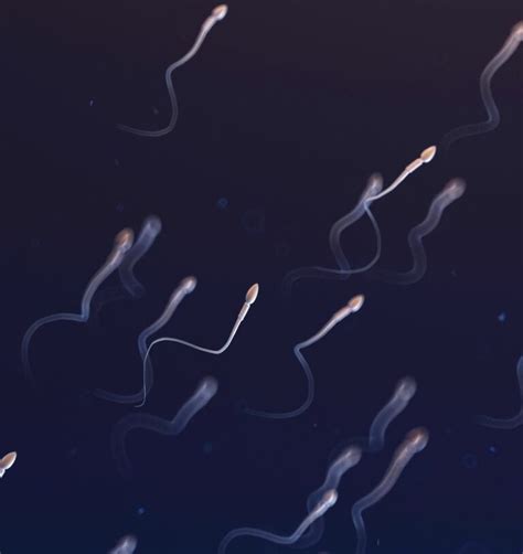 Does Mountain Dew Reduce Sperm Count Soda And Fertility