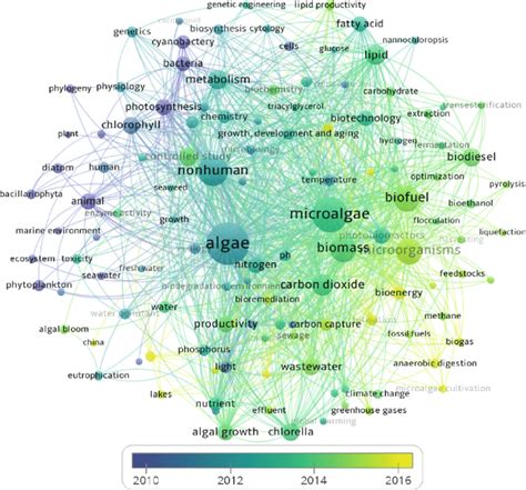 Overlay Visualization Download Scientific Diagram