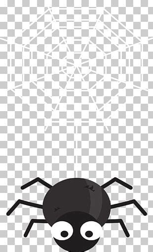 Spider Masteria Barona Dipluridae Masteria Caeca Png Clipart Area