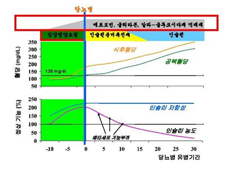 General Summary Of DM With Medications Part I