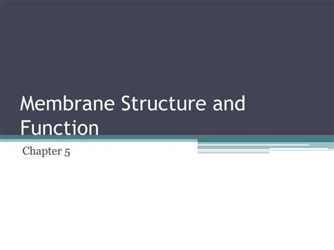 PPT Membrane Structure And Function PowerPoint Presentation Free Download ID