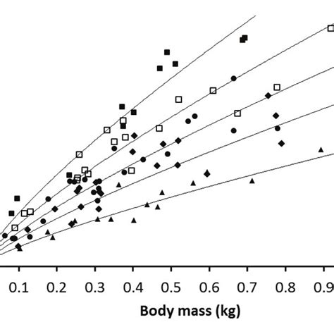 Specific Standard Metabolic Rate Smr Of Pacu As Function Of Body Mass Download Scientific