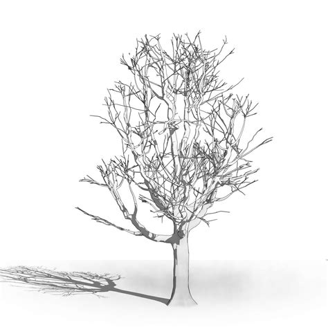 Revit Scalable And Detailed Tree Arquitree22 Detailed 3d Model Cgtrader