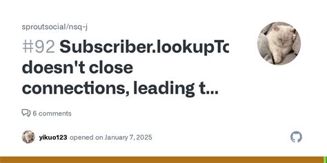 Subscriberlookuptopic Doesnt Close Connections Leading To Excessive
