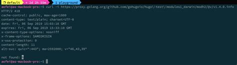 Weird 410 Response Body · Issue 34141 · Golanggo · Github
