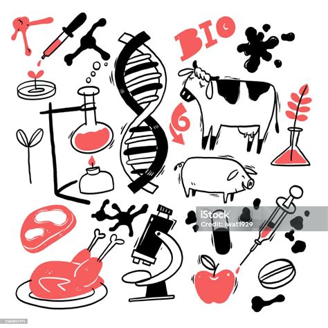 이미지에는 생물학 및 생명 공학과 관련된 다양한 그림이 포함되어 있습니다 이미지의 중심에는 유전학을 상징하는 Dna의 이중 나선이 있습니다 사과에 대한 스톡 벡터 아트 및