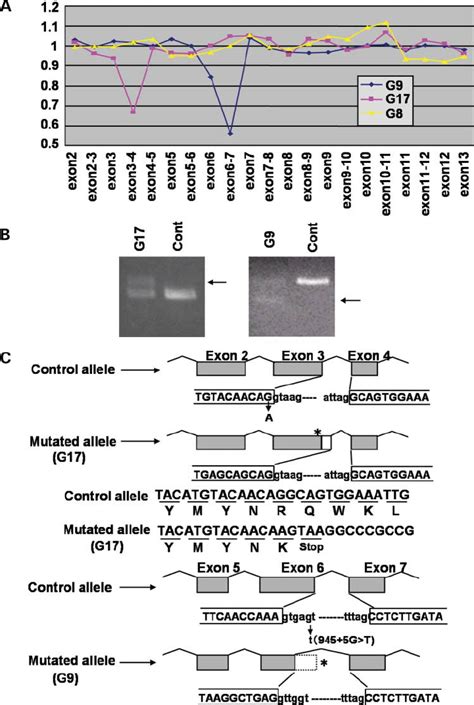 Detection Of Aberrant Splicing In Nbccs Patients A Normalized
