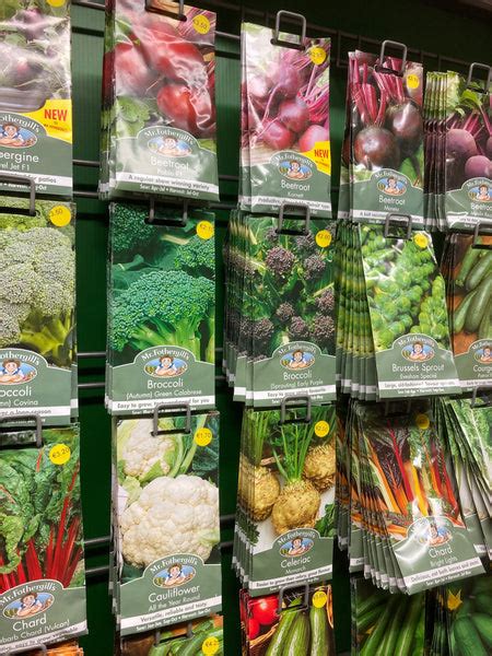 Vegetable Bundle My Garden Centre