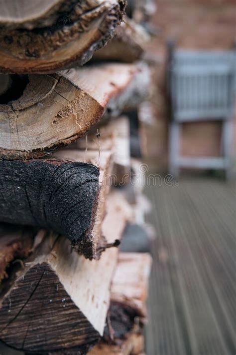 Close Up Of Tree Log Stacks On A Blurred Background Stock Image Image Of Growth Aged 260207953