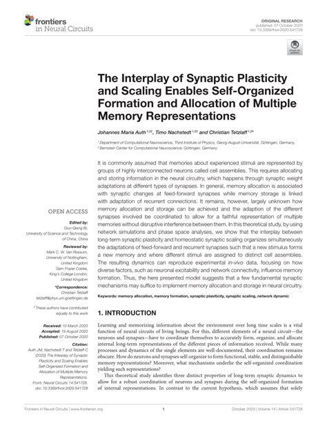 Pdf The Interplay Of Synaptic Plasticity And Scaling Enables Self Organized Formation And