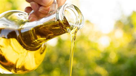 How Olive Oil Bioactives Regulate Genes Linked To Insulin Resistance
