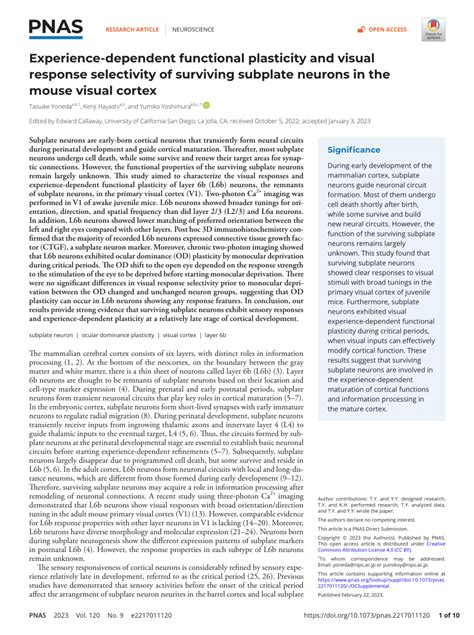 Pdf Experience Dependent Functional Plasticity And Visual Response Selectivity Of Surviving