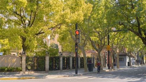 햇살이 내비치는 나른한 오후 Youtube