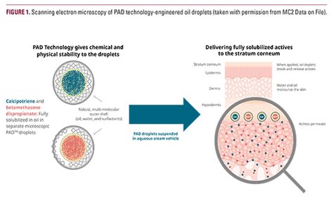 Individual Article Fixed Combination Calcipotrienebetamethasone Cal