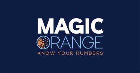 Accelerating Financial Insights With Databricks Ai Bi Genie Magicorange