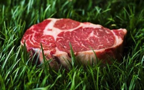 Grass Fed Steak