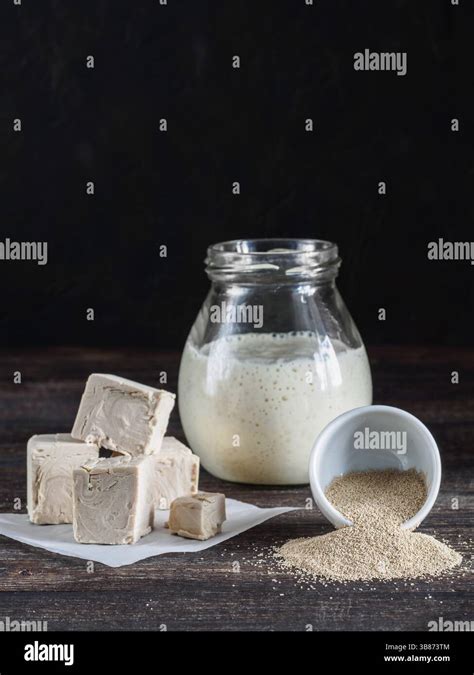 Different Types Yeast Fresh Pressed Yeast Dry Instant Yeast And Active Wheat Sourdough Starter