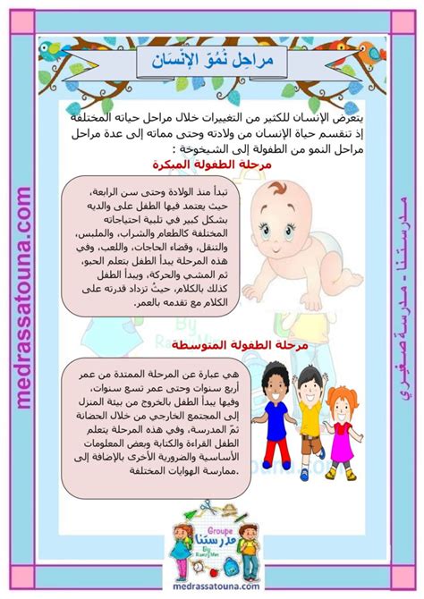 بحث حول مراحل نمو الإنسان مدرستنا