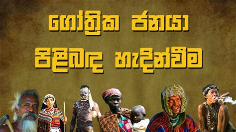ගෝත්‍රික ජනයා පිළිබඳ හැදින්වීම Youtube