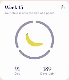 Segmented Progress Bar Component For React Native