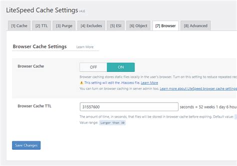 The Ideal LiteSpeed Cache Settings With QUIC Cloud 2024