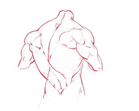 How To Draw The Torso Back View