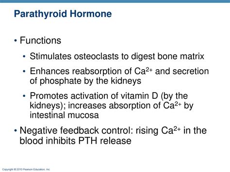 The Endocrine System Part B Ppt Download