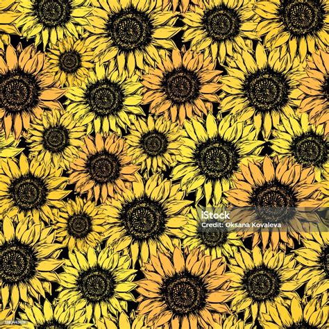 블랙 백에 트렌디 한 스타일의 다채로운 해바라기 스케치 패턴 노란색 태양 꽃 복고풍 디자인 벽지 그래픽 모던 핸드 그린 장식