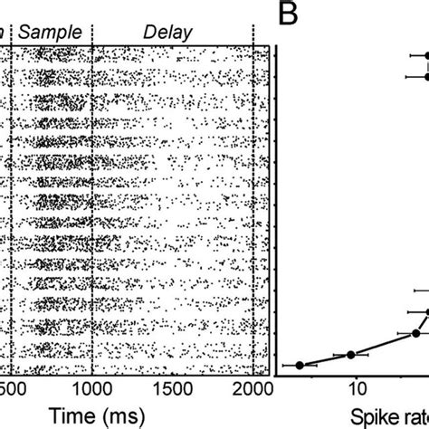 Example Numerosity Selective Neuron A Dot Raster Display Each Dot