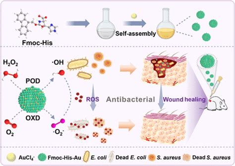 Acs Applied Nano Materials Vol 7 No 19 Acs Publications