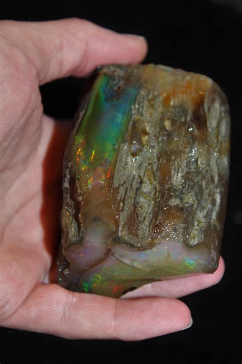 Large Precious Opal Fossil Limb Cast From Virgin Valley Nevada Usa