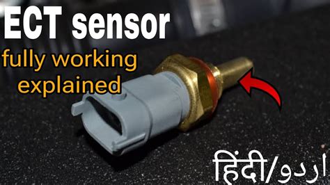 Coolant Temp Sensor P At Kenneth Mcgray Blog