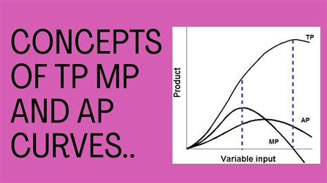 concept of tp mp and ap curves production function class 11 by