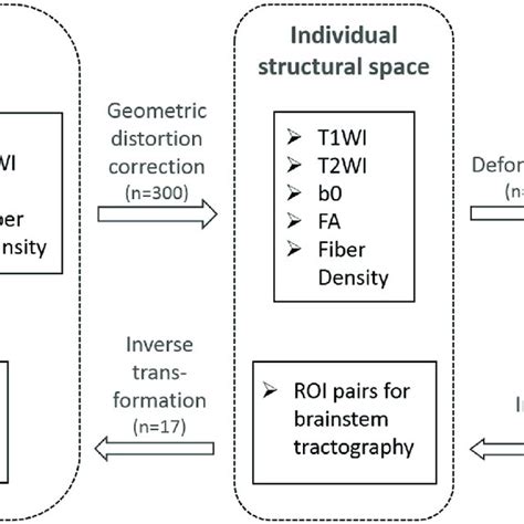 Dti Processing And Brainstem Tractography Flowchart In Lab Image
