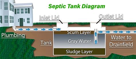 Septic System Information Alligator Septic
