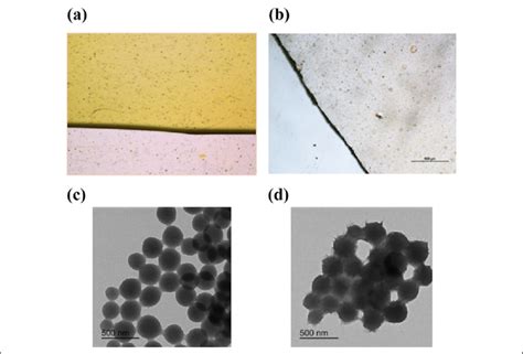 Optical Micrographs Of Coatings Based On Pdms A And Pdms Pvdf B