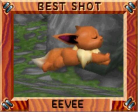 Eevee Uwu Pokemon Snap Eevee Pokemon Cool Pokemon