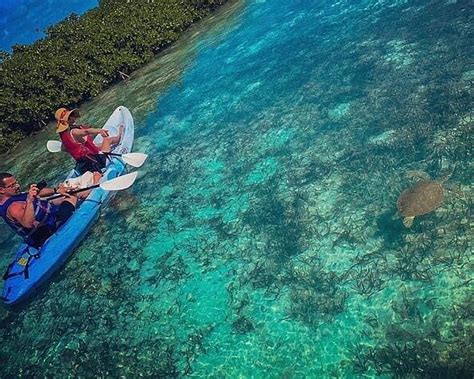 Mangrove Clear Kayak Tour Providenciales Turks And Caicos