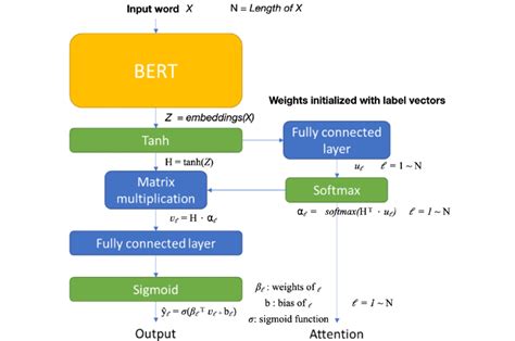 Our Model Architecture With Label Attention Bert Bidirectional
